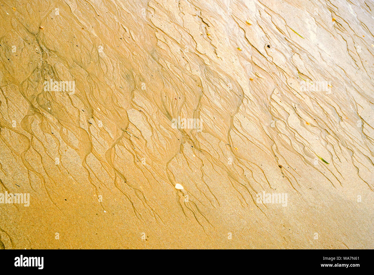 Water etched patterns on a sandy beach Stock Photo - Alamy