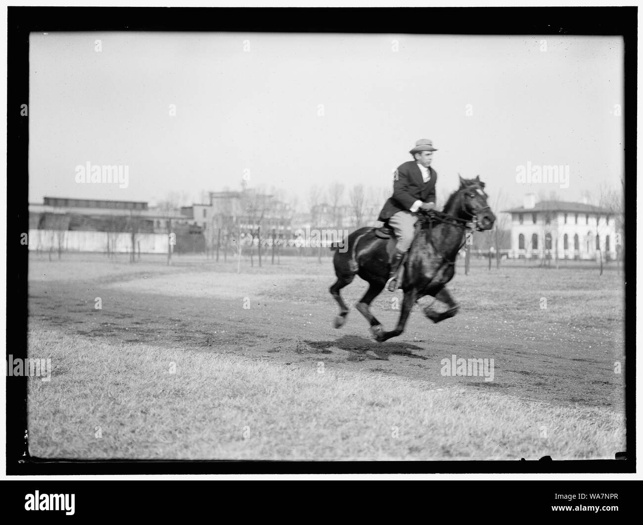 Wrisley brown hi-res stock photography and images - Alamy