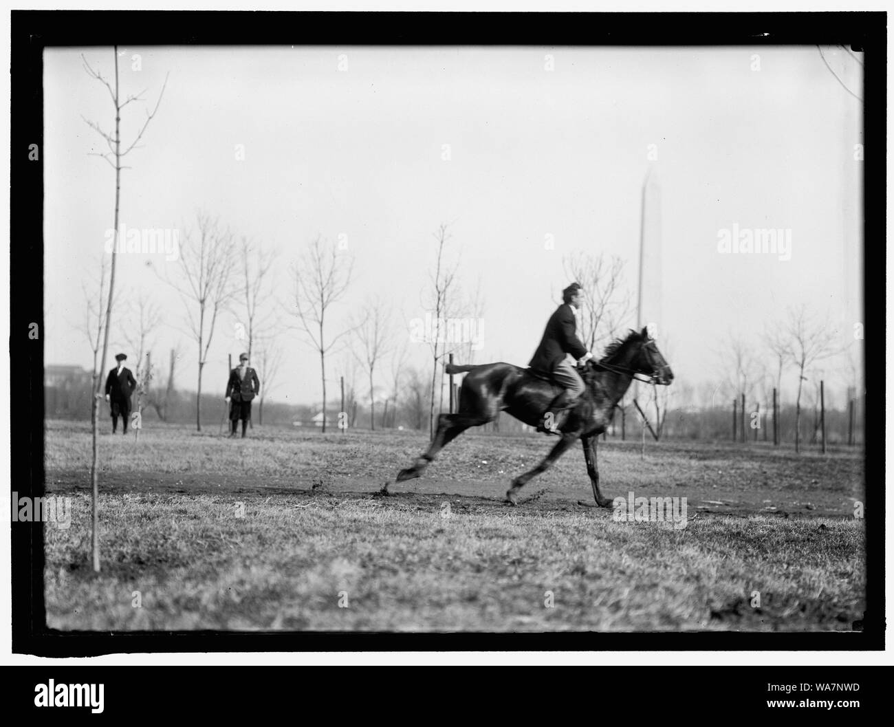 BROWN, WRISLEY, ATTORNEY. RIDING Stock Photo - Alamy