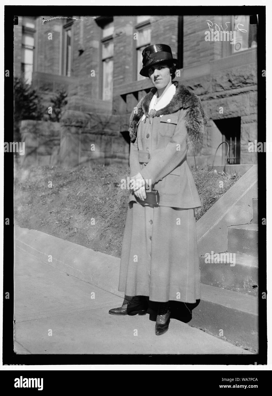 Portrait bull Cut Out Stock Images & Pictures - Alamy