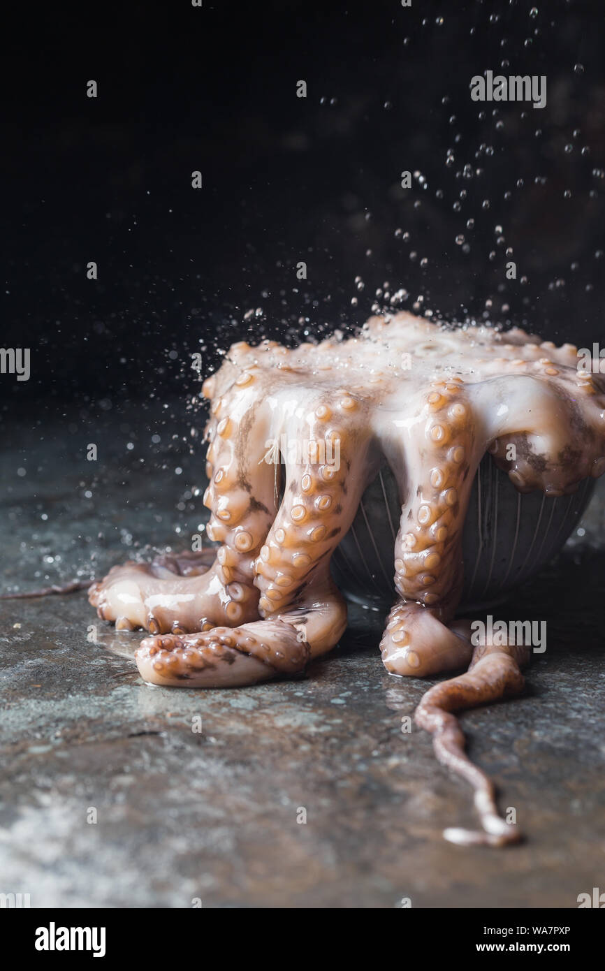 Fresh raw octopus in a bawl on dark stone background close up Stock ...