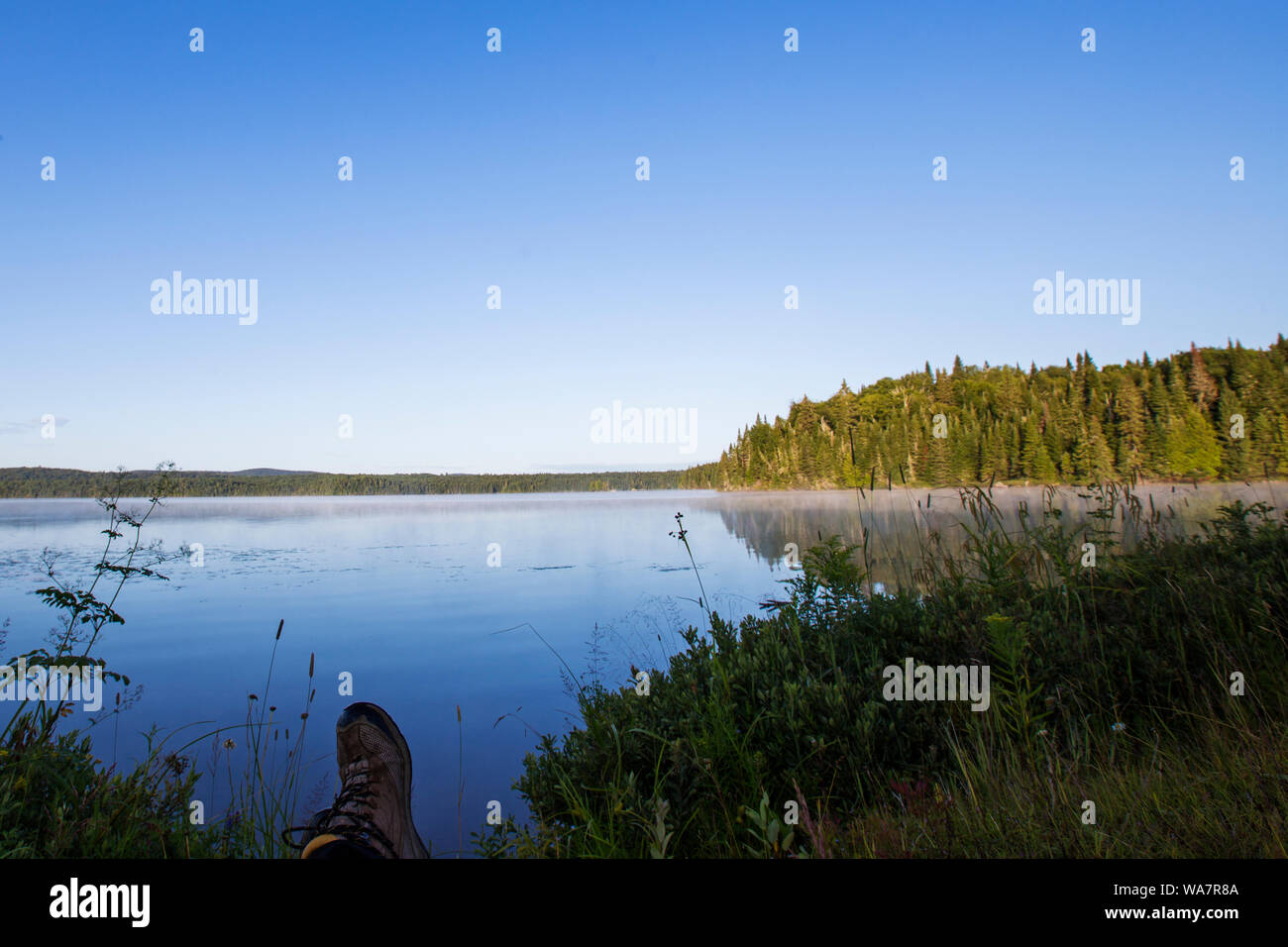 Eastern canadian wilderness hi-res stock photography and images - Alamy