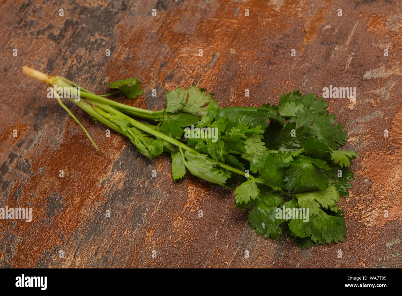 Fresh ripe Green cilantro leaves spice Stock Photo - Alamy