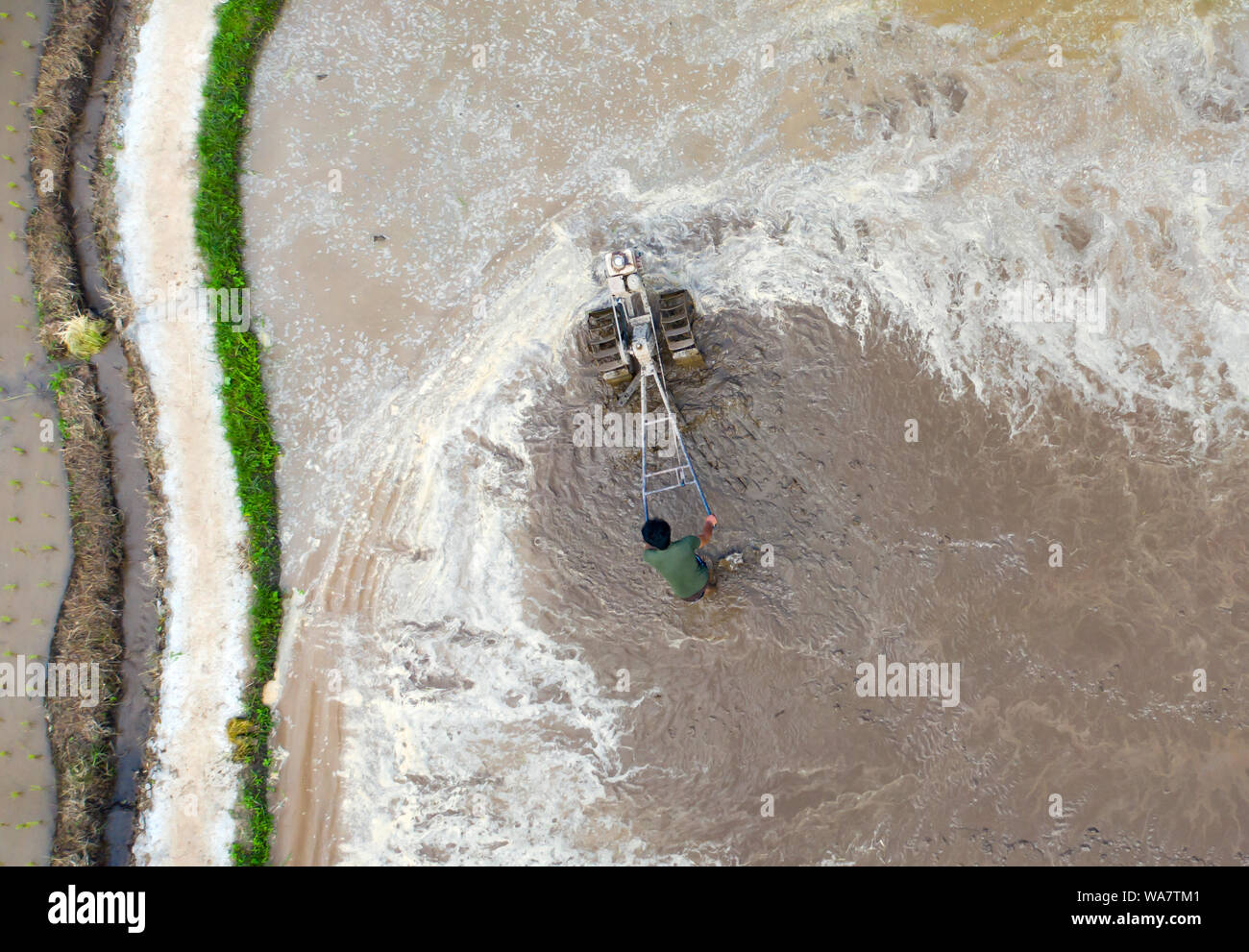 Aerial, drone view of man plowing paddy field ready for new rice crop ...