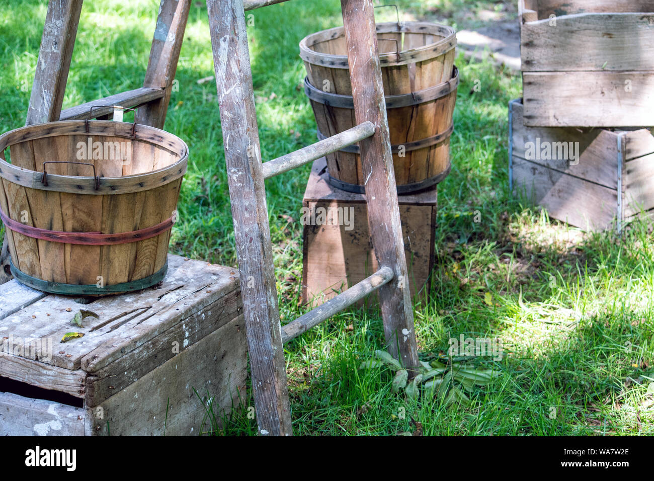 baskets and crates rest next to a wood ladder in a fruit orchard Stock ...
