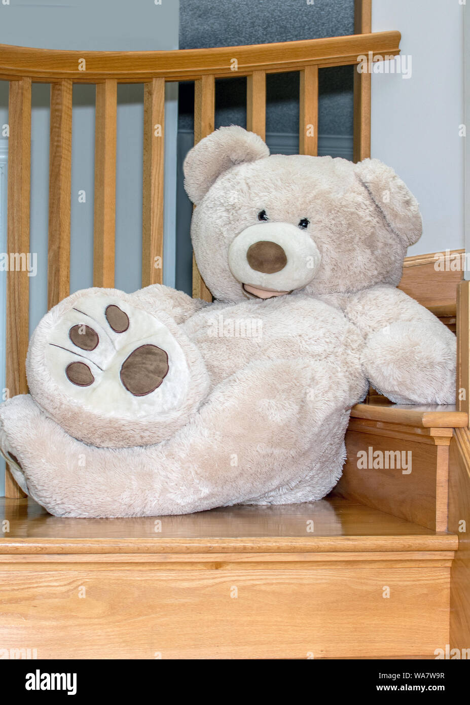 bear lounging on a stair case at home Stock Photo - Alamy