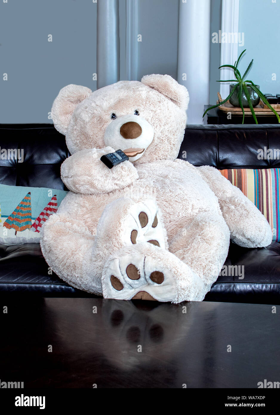 big bear with remote control in the living room Stock Photo - Alamy