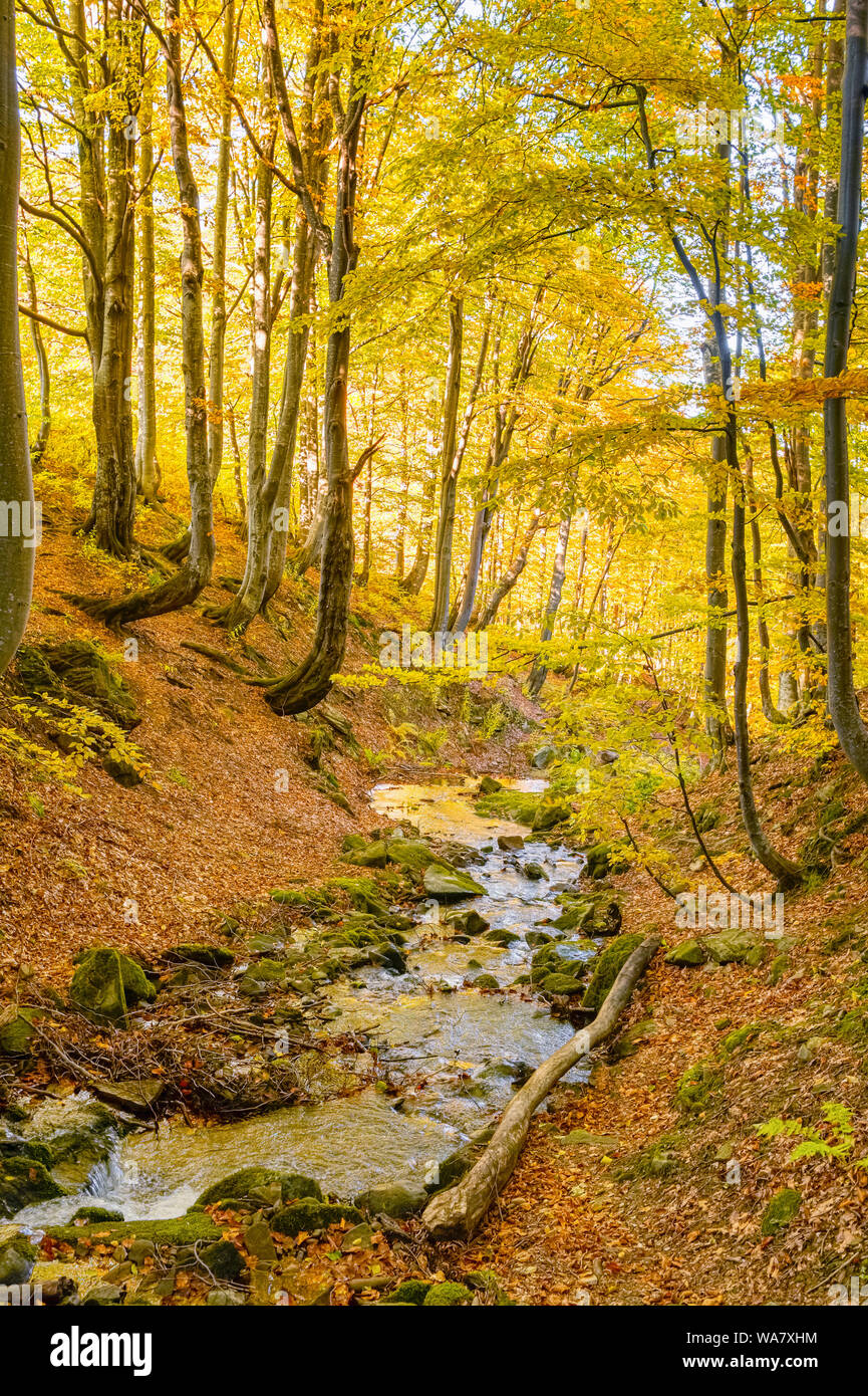 Landscape river bright trees hi-res stock photography and images - Alamy