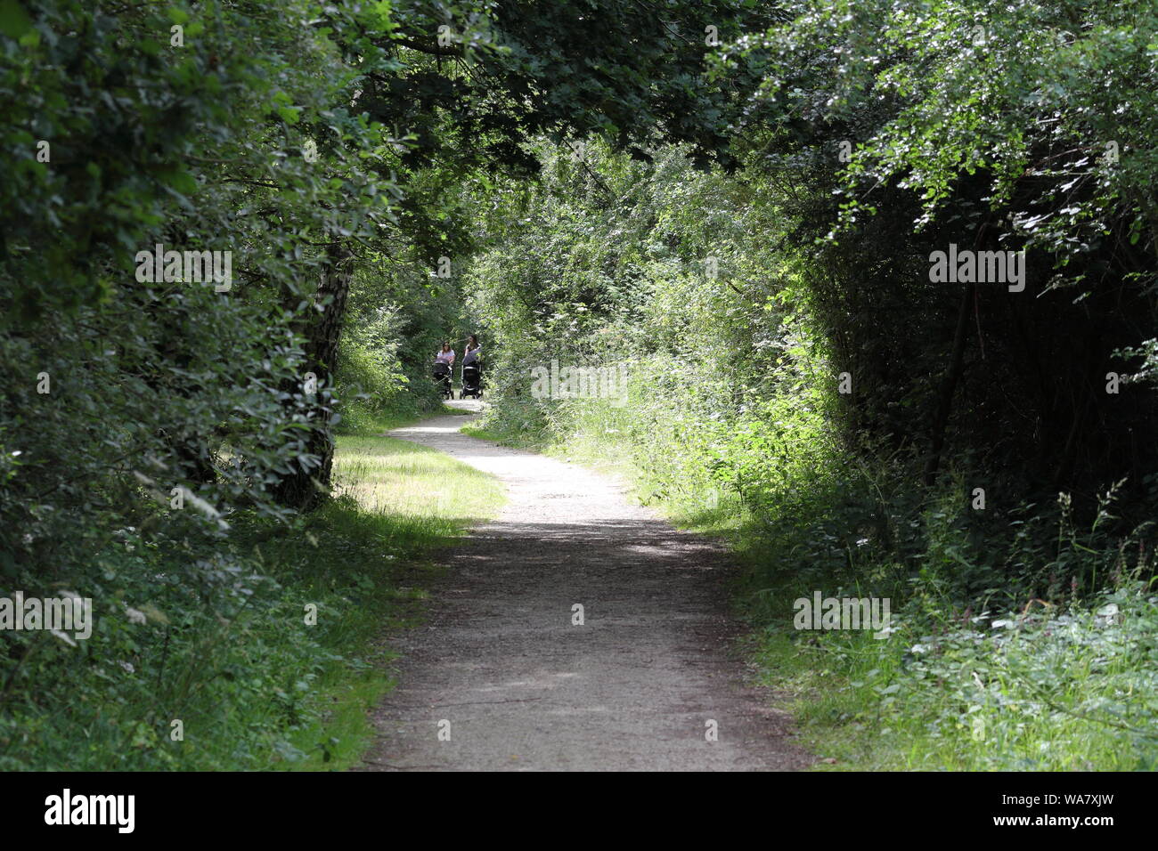 Walk framed by natural tunnel hi-res stock photography and images - Alamy