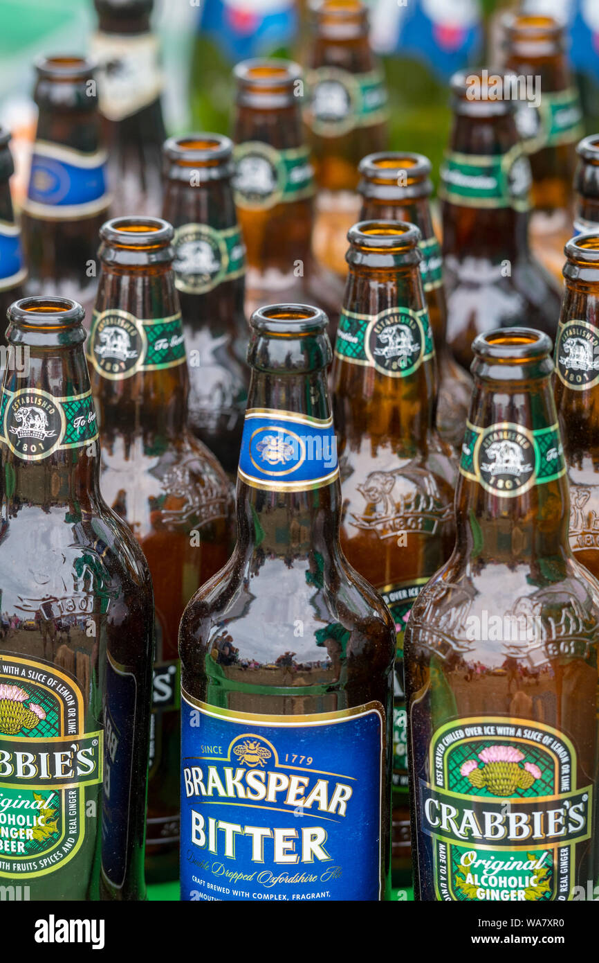 rows of empty beer bottles at a brewery Stock Photo - Alamy