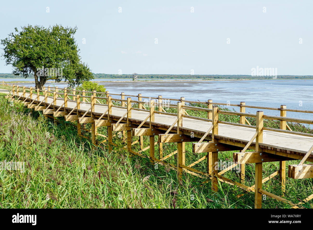 new wooden footpaths for walks and birdwatching at the lake shore Stock ...