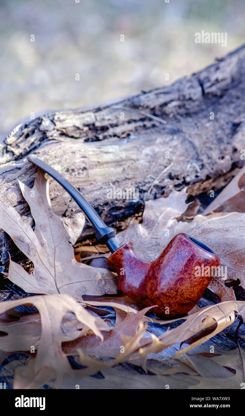 Birdseye grain pipe in leaves by a log for a rustic still life Stock ...