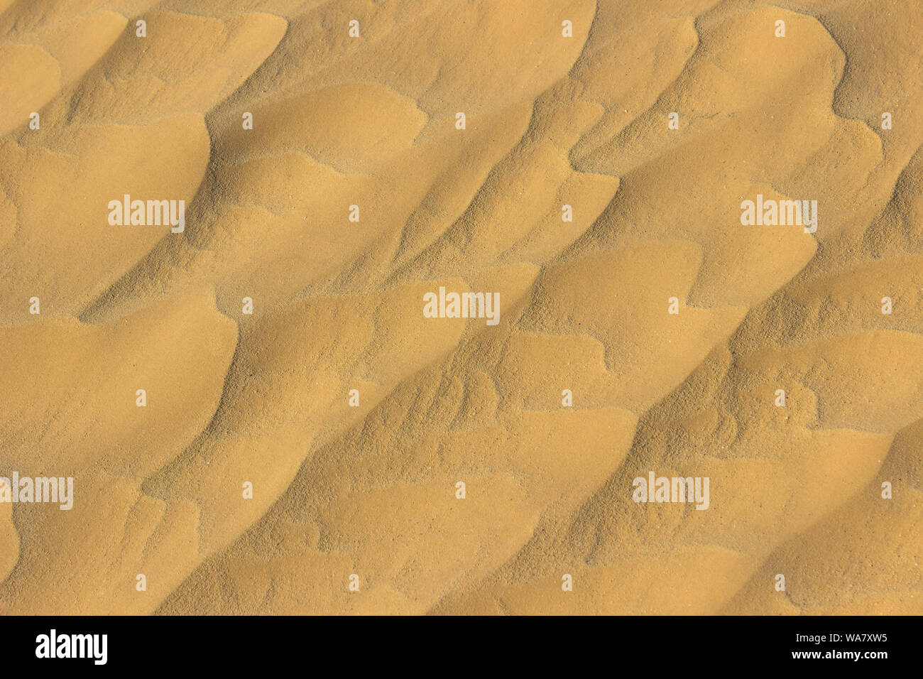 Amazingly fine particles of Sahara desert golden sand creating a ...