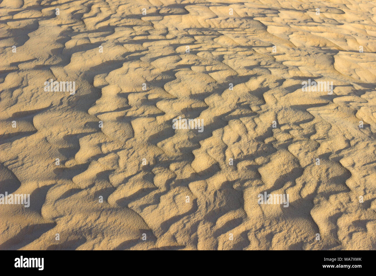 Amazingly fine particles of Sahara desert golden sand creating a ...