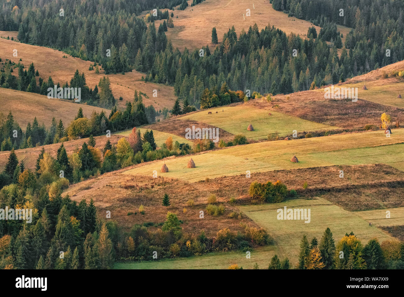 Beautiful autumn landscape in the mountain village in Ukraine Stock ...
