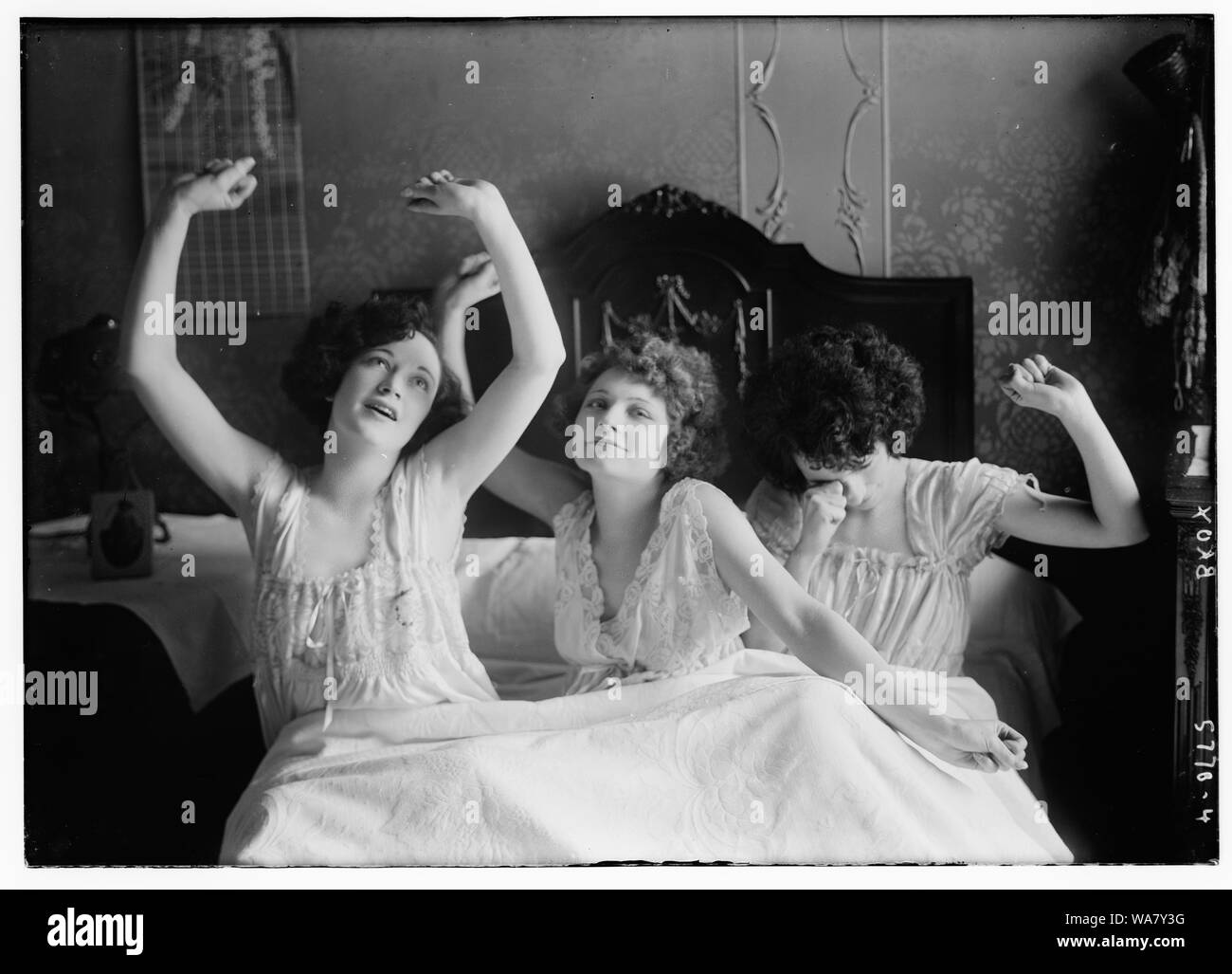 The brox hi-res stock photography and images - Alamy