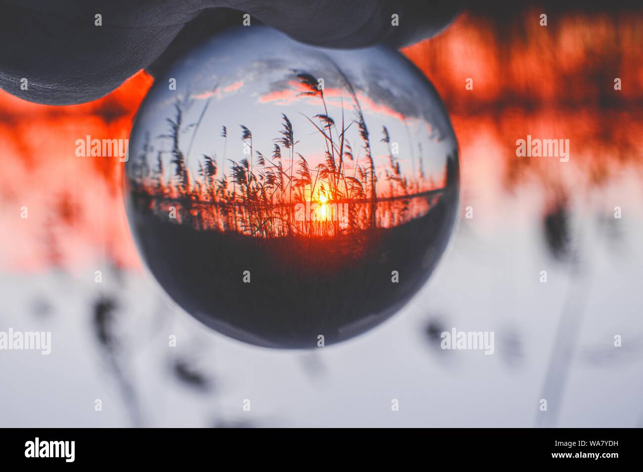Beautiful sunrise upside-down view from a crystal ball perspective ...
