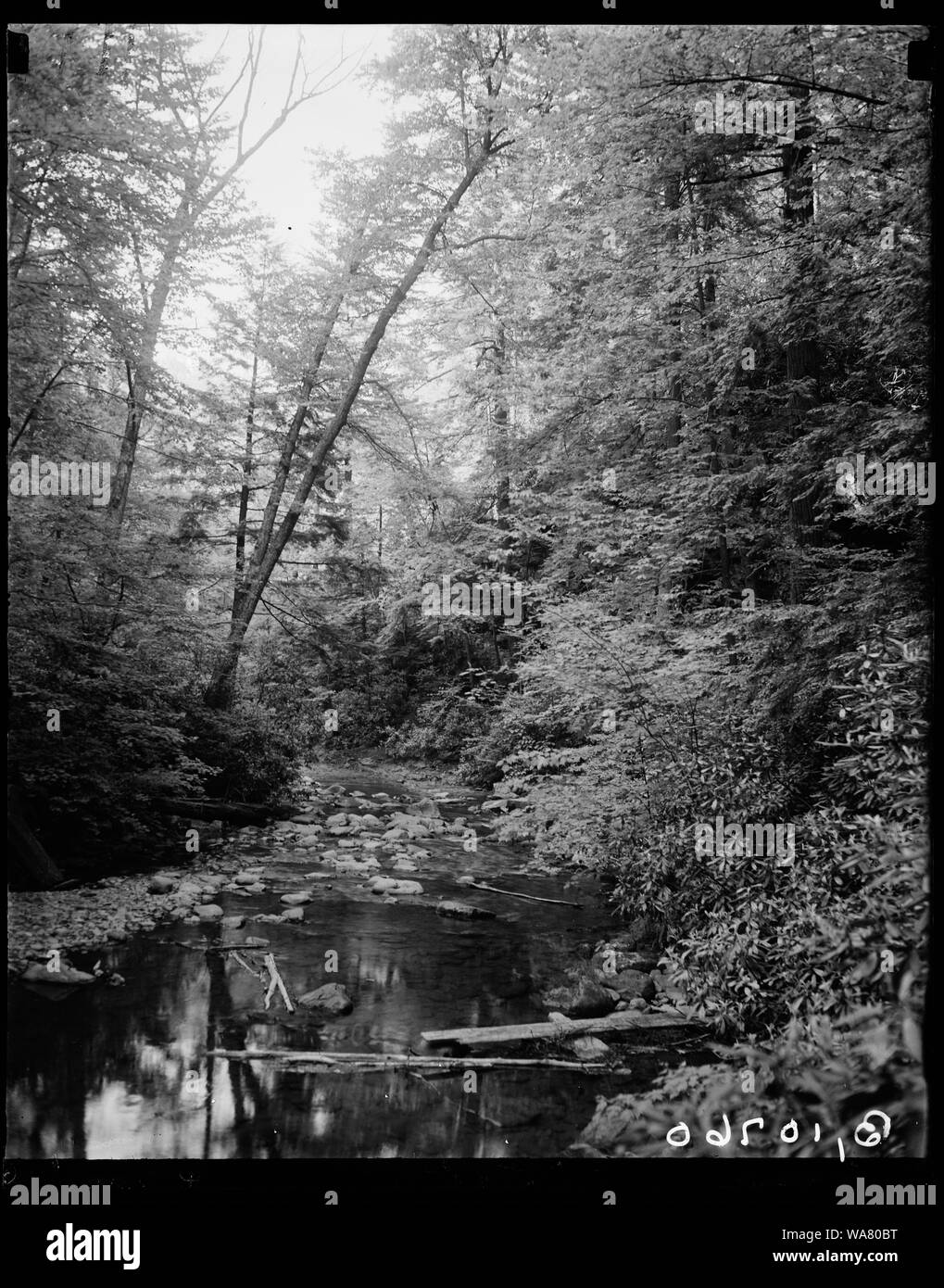 Buck Hill Falls, PA Stock Photo - Alamy