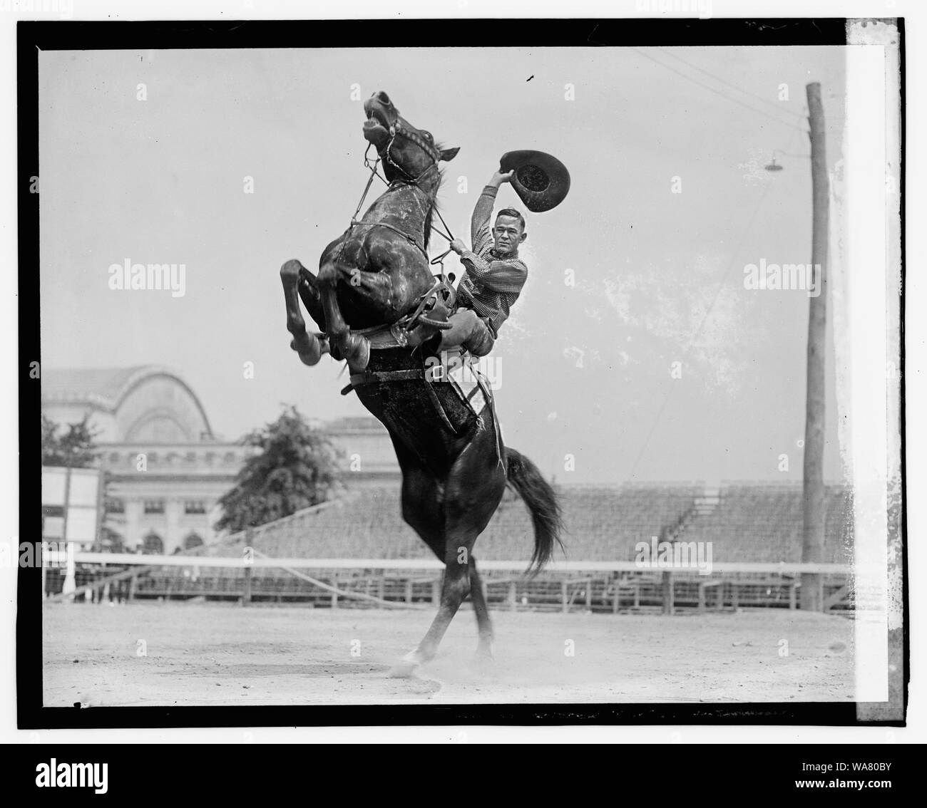 Buck stewart hi-res stock photography and images - Alamy