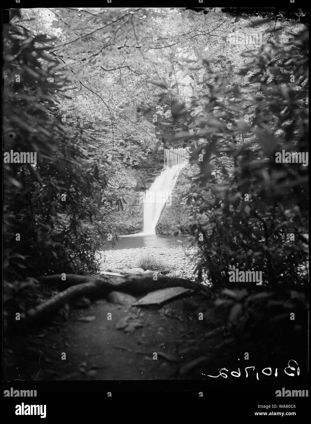 Buck hill falls hi-res stock photography and images - Alamy