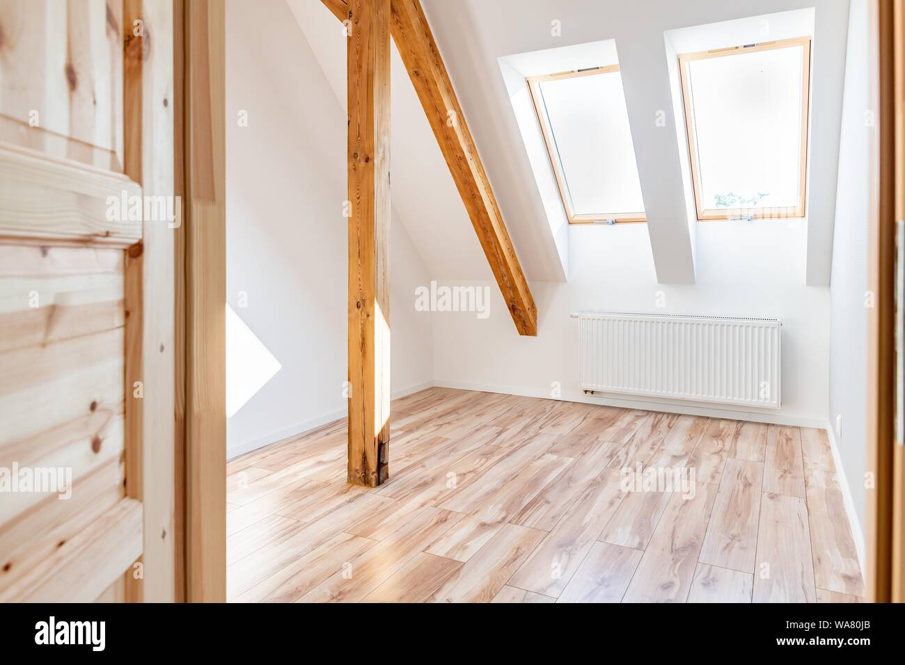 Empty Attic Space