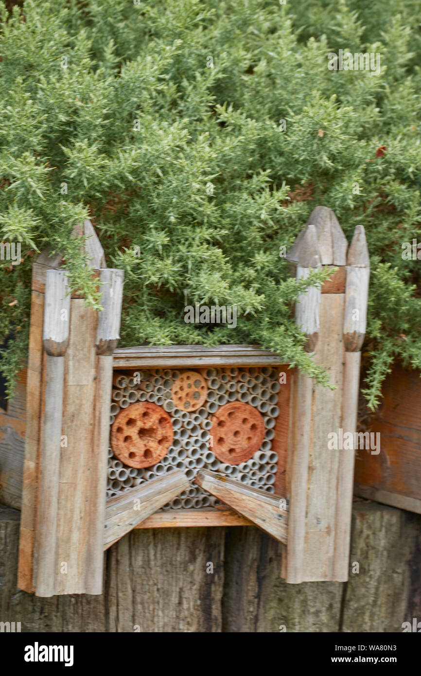Bug boxes in garden setting, London, England, United Kingdom, Europe ...