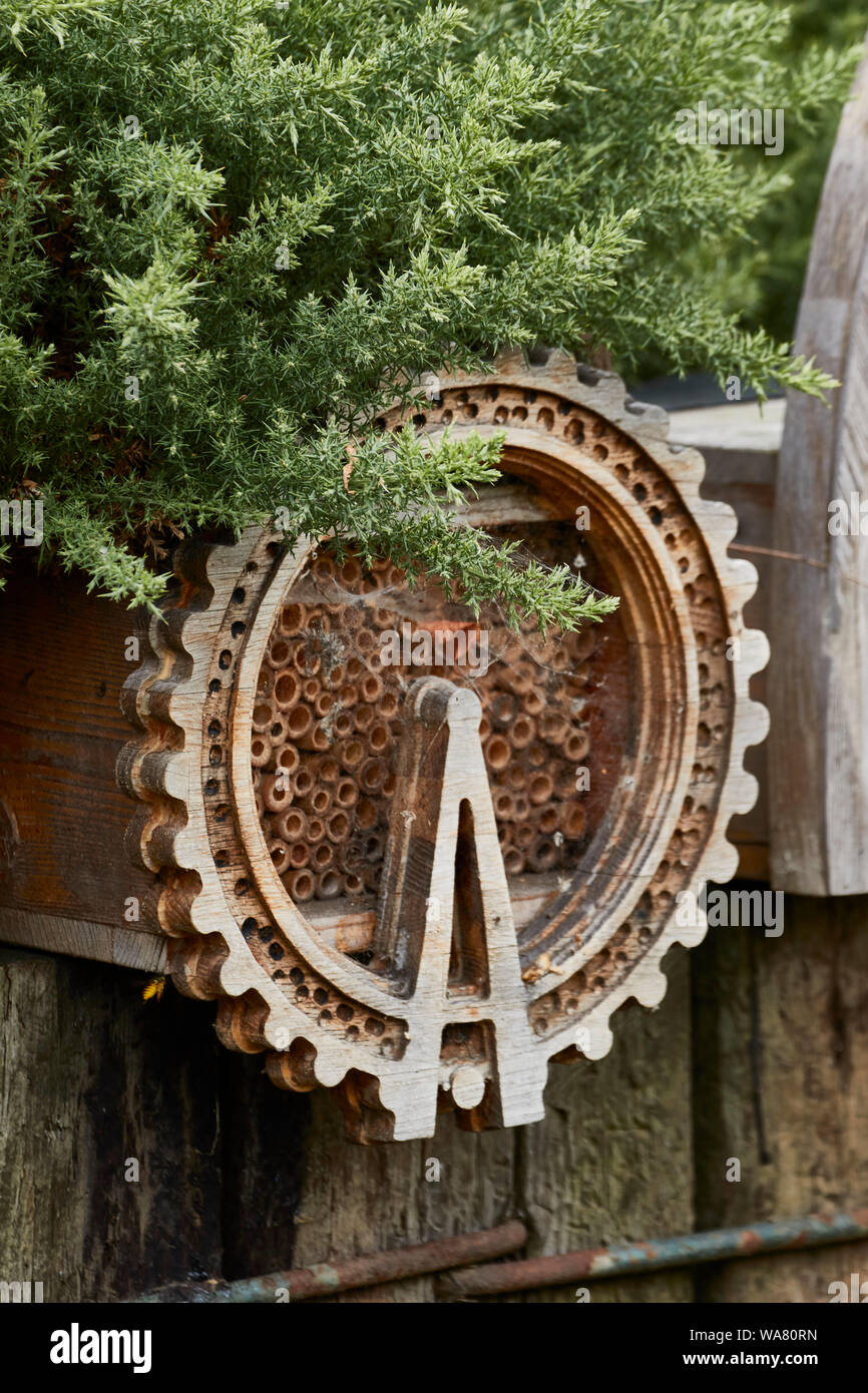 Bug boxes in garden setting, London, England, United Kingdom, Europe ...