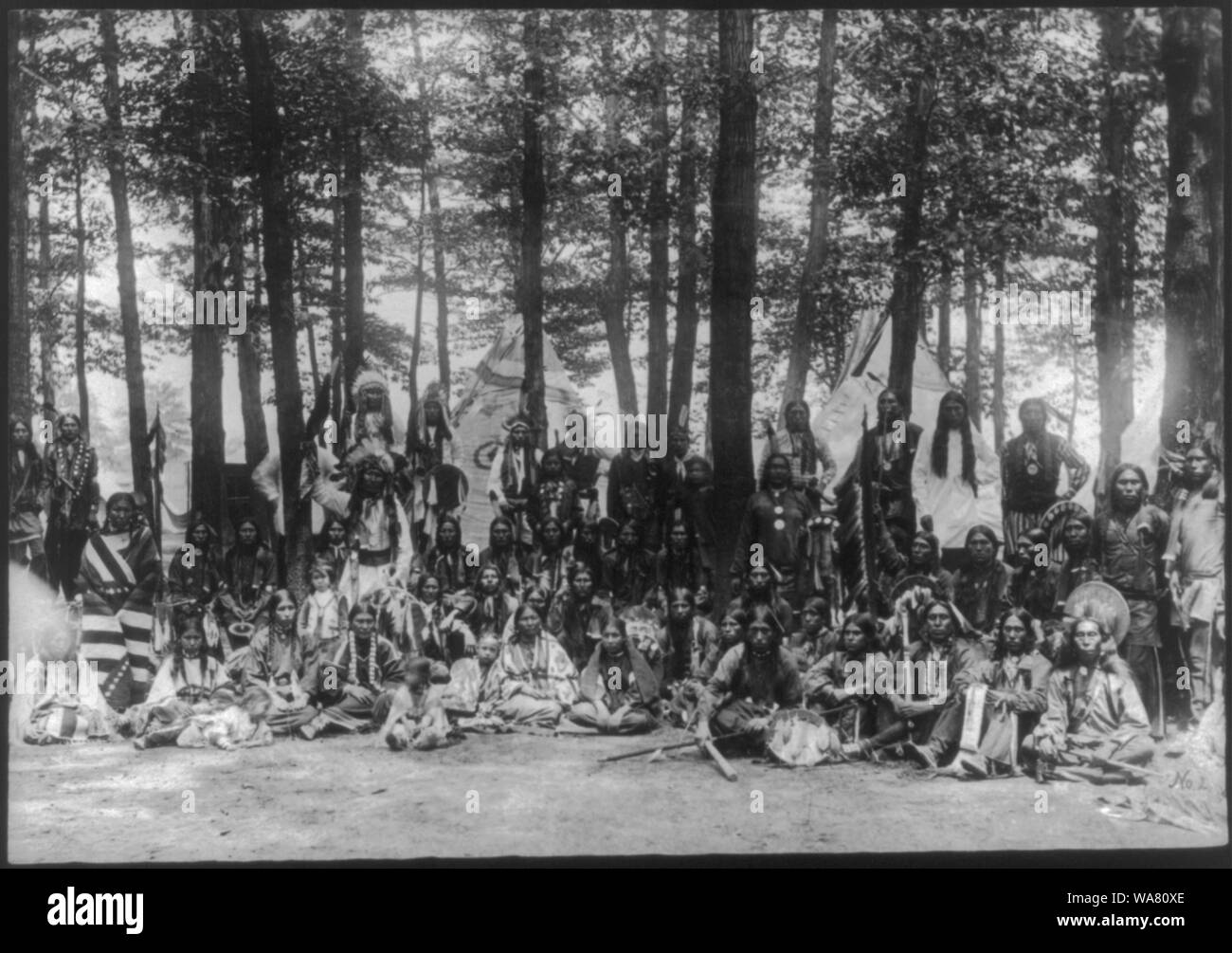 Buffalo bills Black and White Stock Photos & Images - Alamy