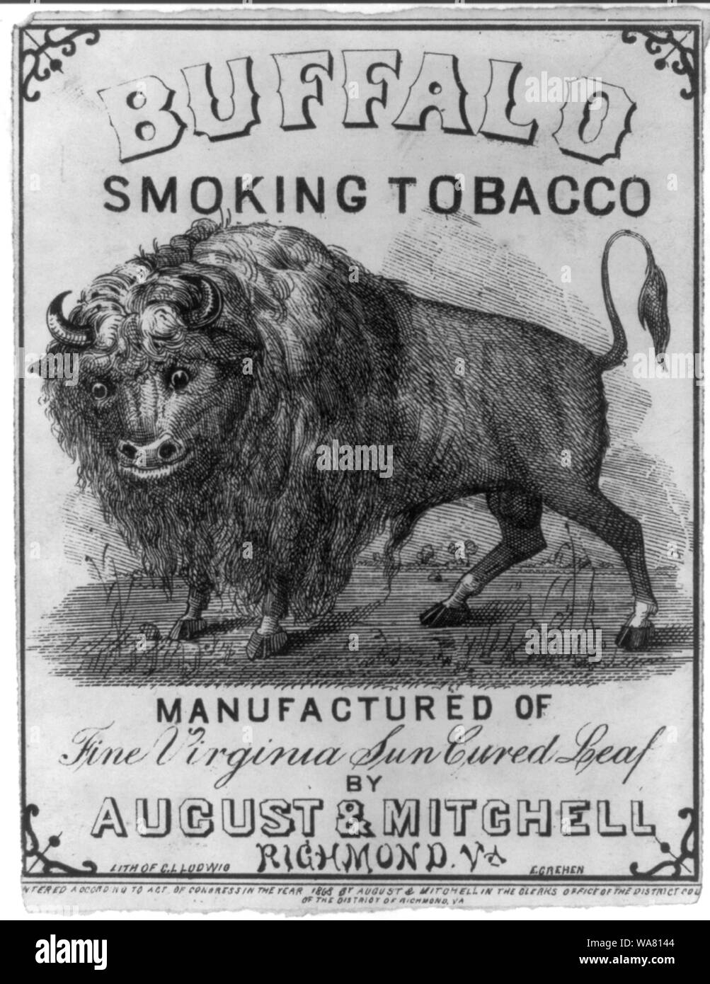 Packaging tobacco Black and White Stock Photos & Images - Alamy