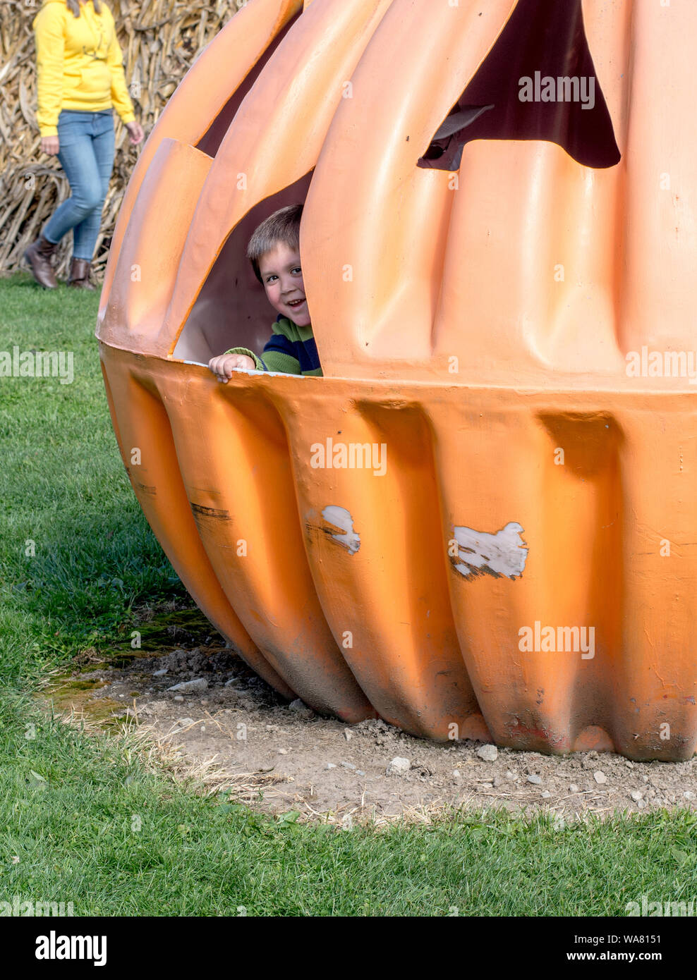 Little boy looks out from inside a giant metal pumpkin at Halloween ...