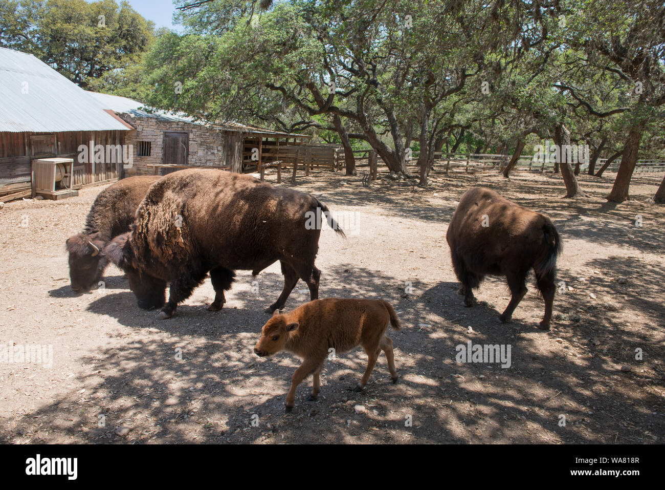 Old ranch movie set hi-res stock photography and images - Alamy