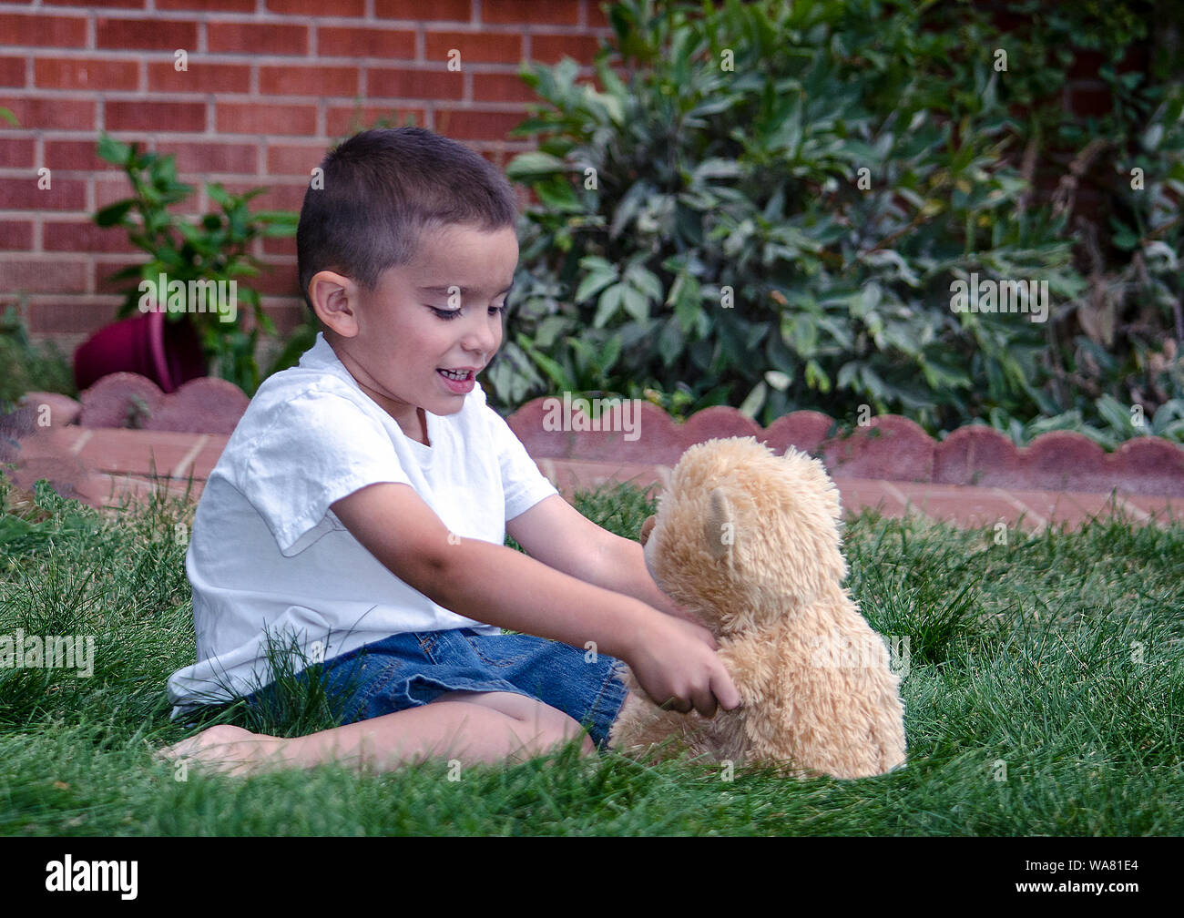 Happy hispanic teddy bear hi-res stock photography and images - Alamy