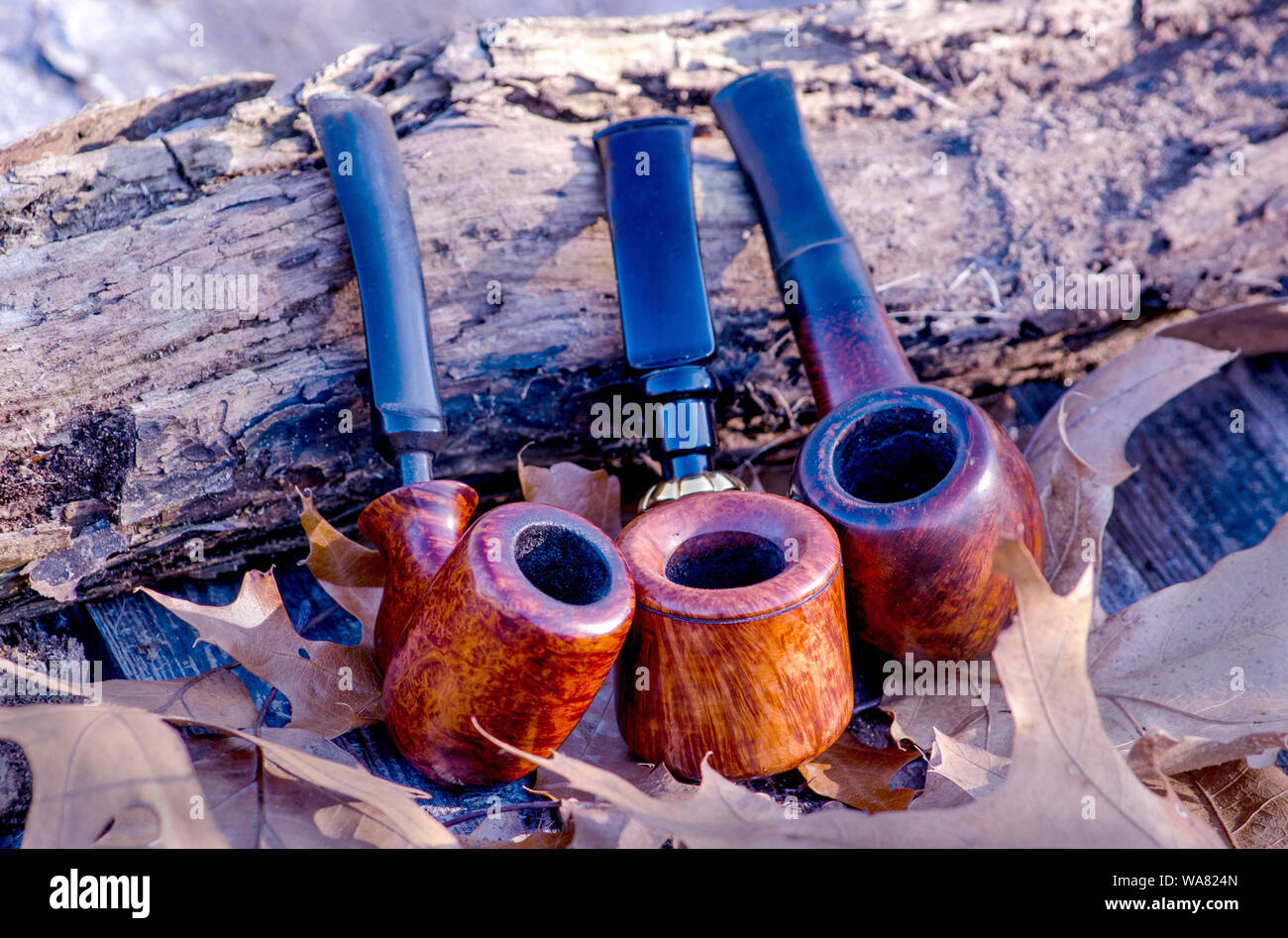 brier pipe collection against a rustic wooden log outdoors Stock Photo ...