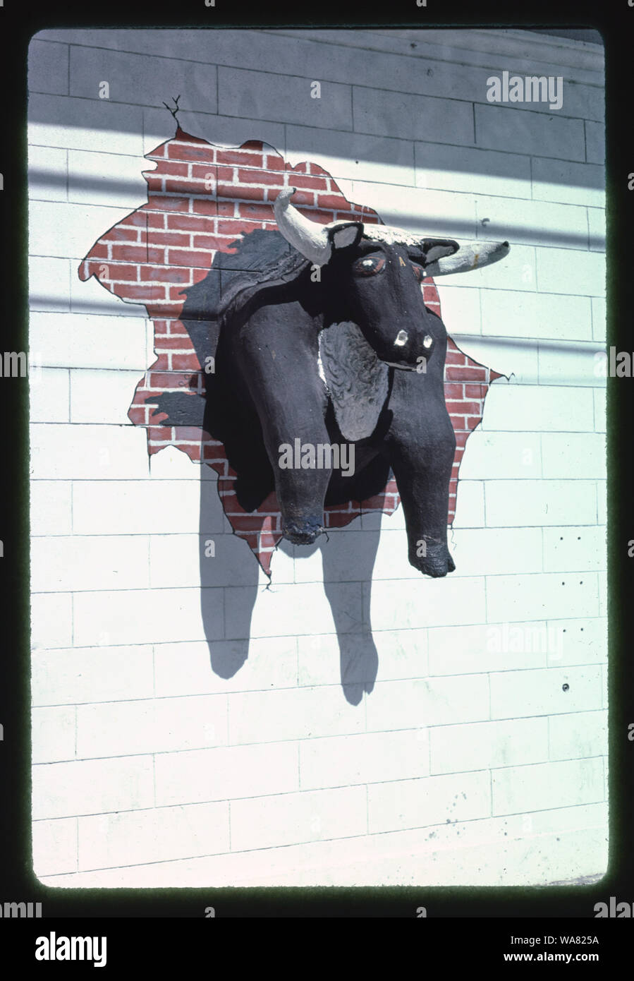 Bull Bar sign, Key West, Florida Stock Photo - Alamy