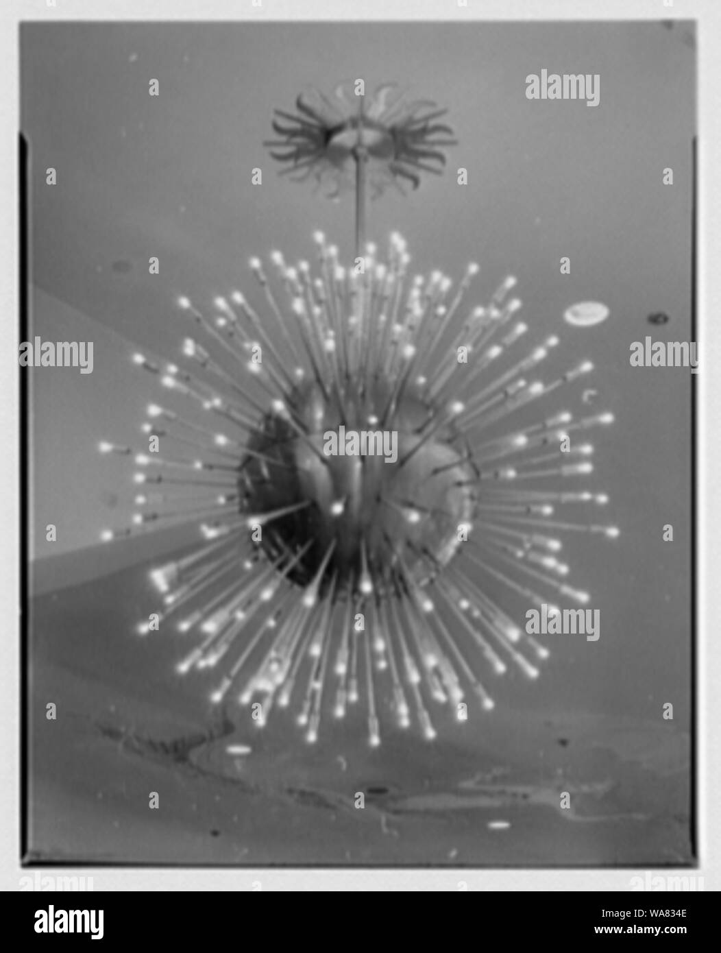 Burdines hi-res stock photography and images - Alamy