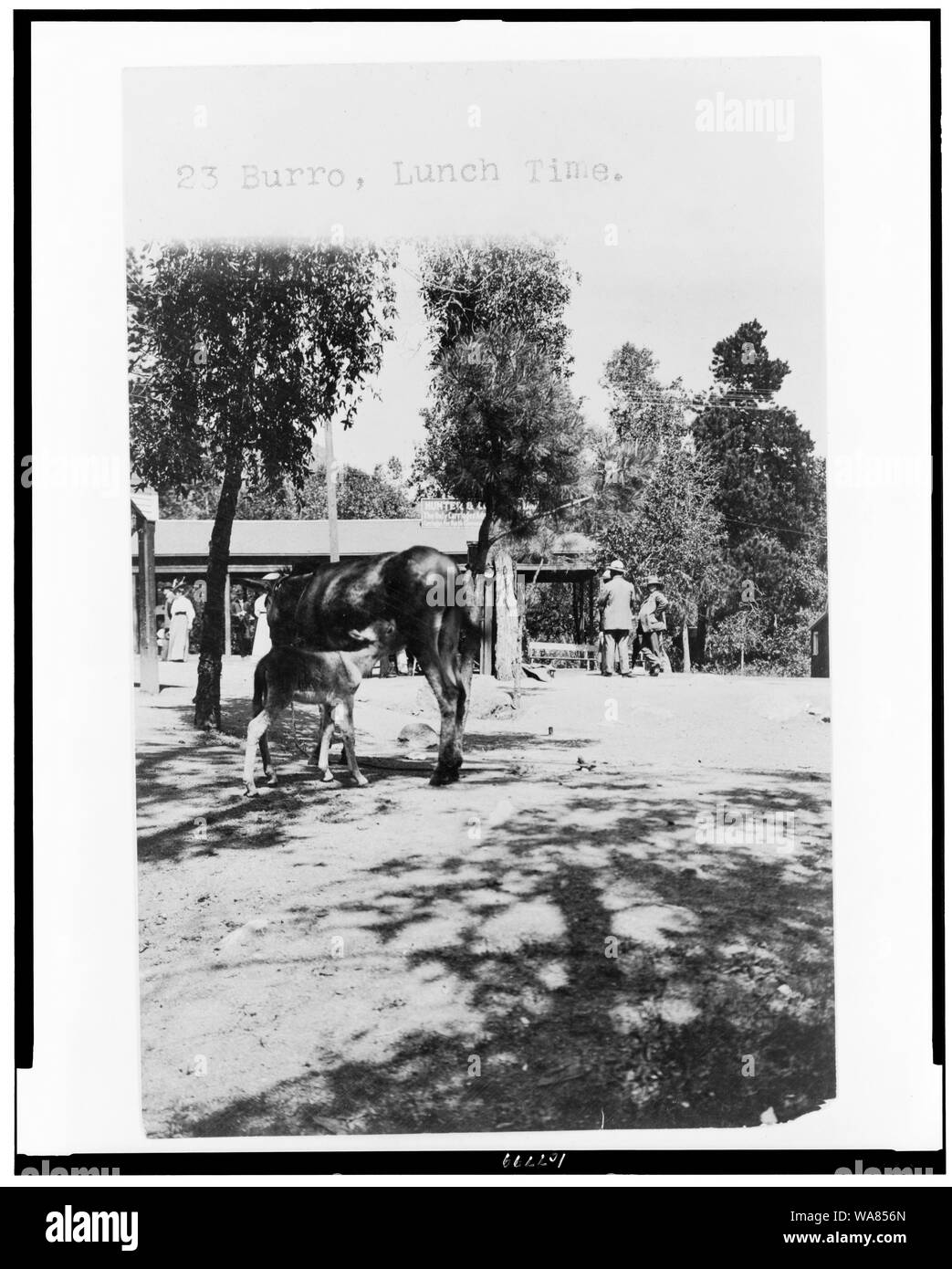Working lunch lunch break Black and White Stock Photos & Images - Alamy