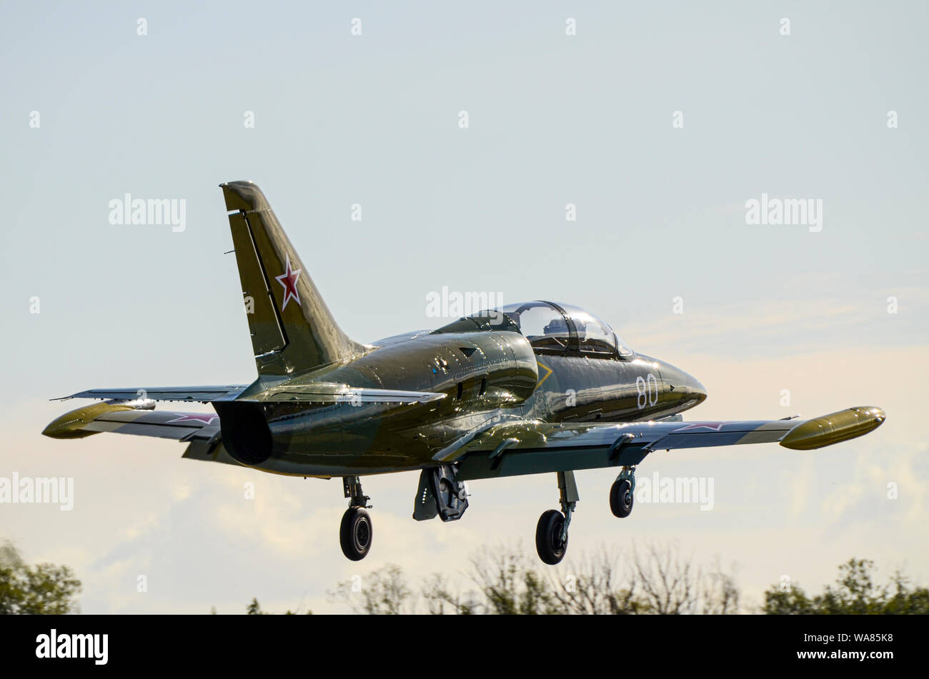 Aero L-39 Albatros jet trainer plane at Wings over Wairarapa airshow ...