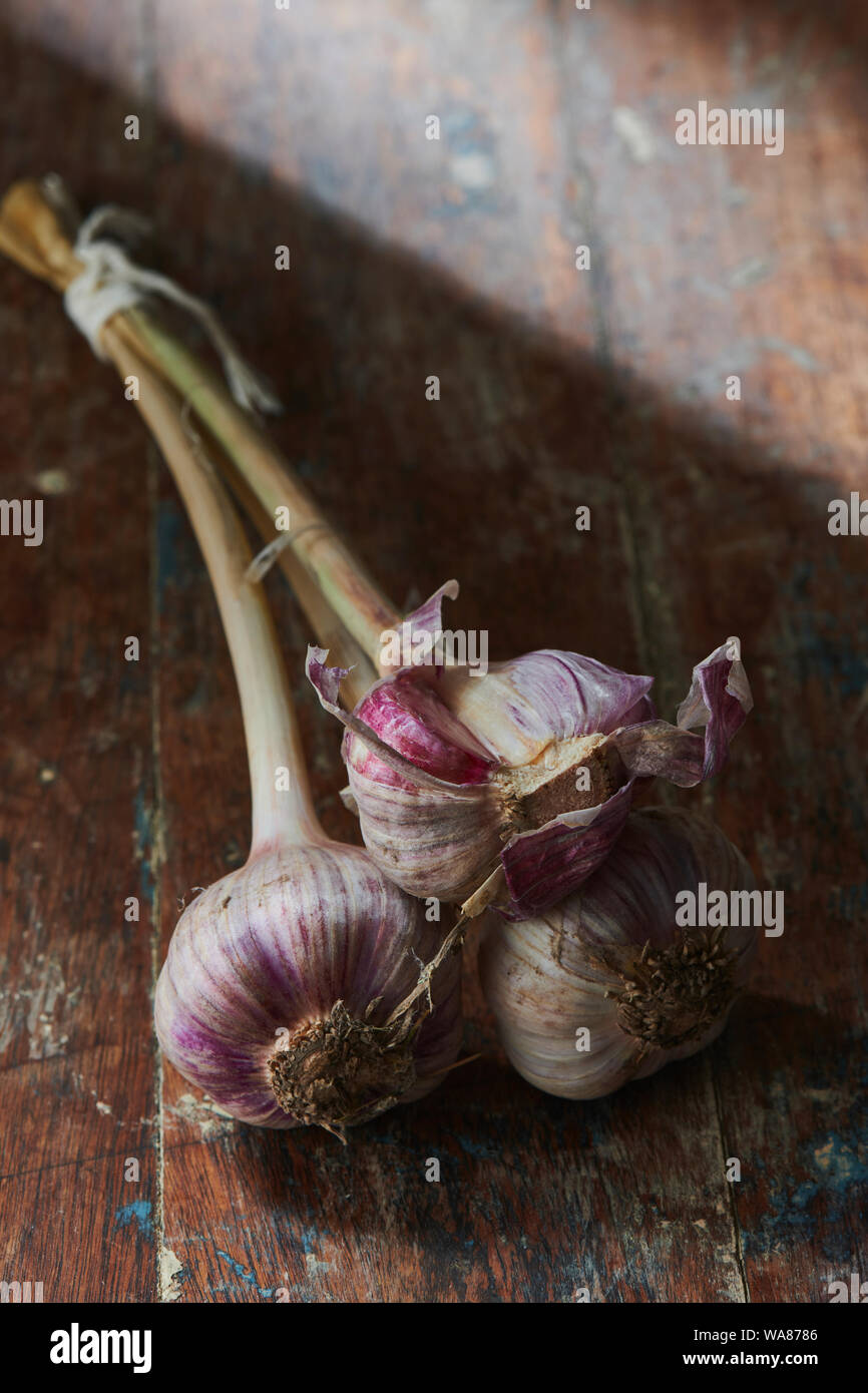 Harvesting garlic bulbs hi-res stock photography and images - Alamy