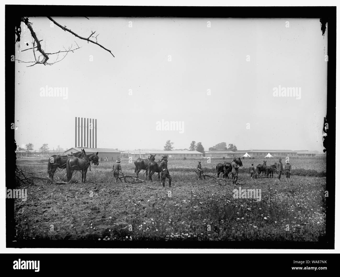 CAMP DIX #2. MISC. VIEWS Stock Photo - Alamy