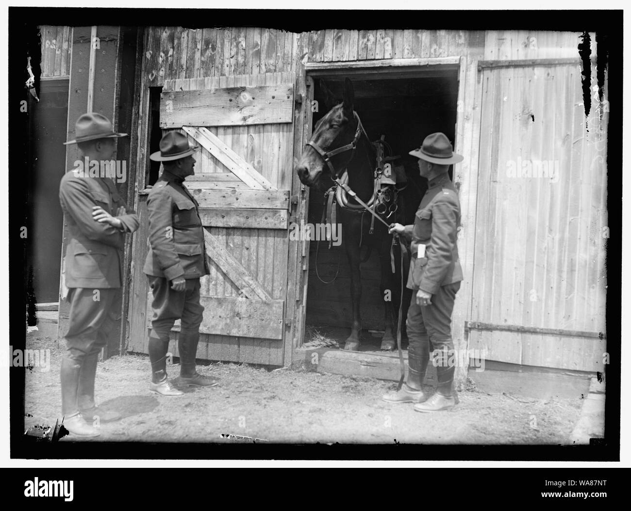 Misc Cut Out Stock Images & Pictures - Alamy