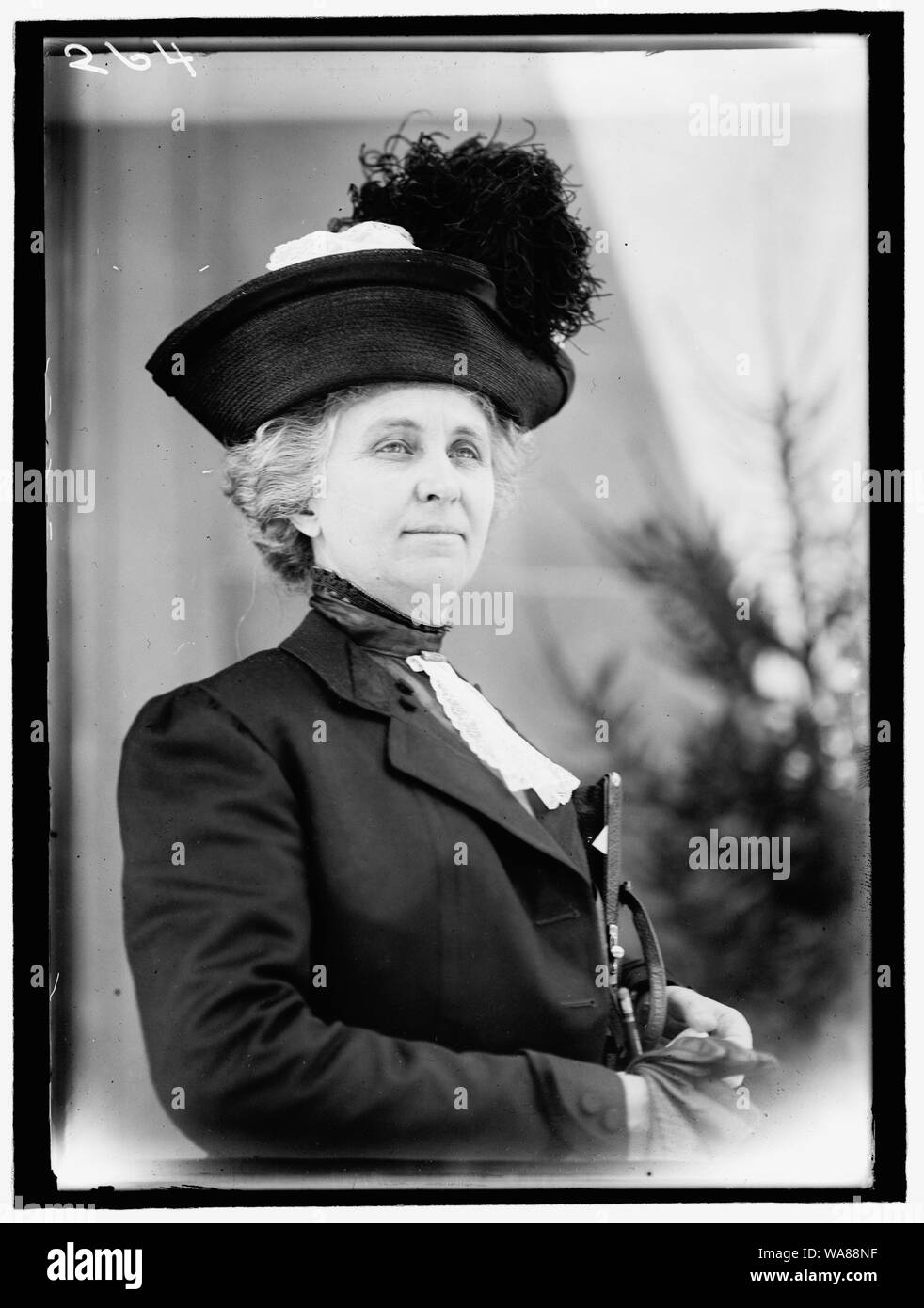 Beryl beryl Cut Out Stock Images & Pictures - Alamy