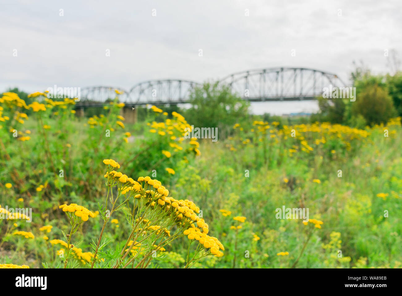 Rustic bridge hi-res stock photography and images - Alamy