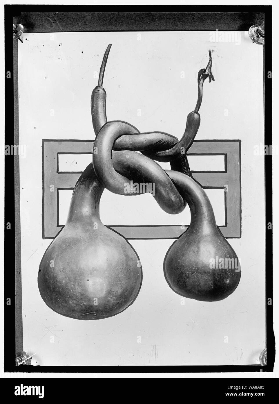 Chinese decorative ornamental round Black and White Stock Photos ...