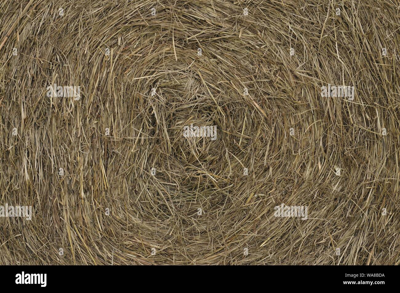 Hay wire hi-res stock photography and images - Alamy