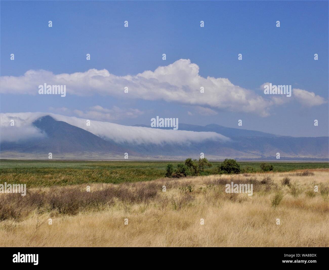 Tantalising hi-res stock photography and images - Alamy