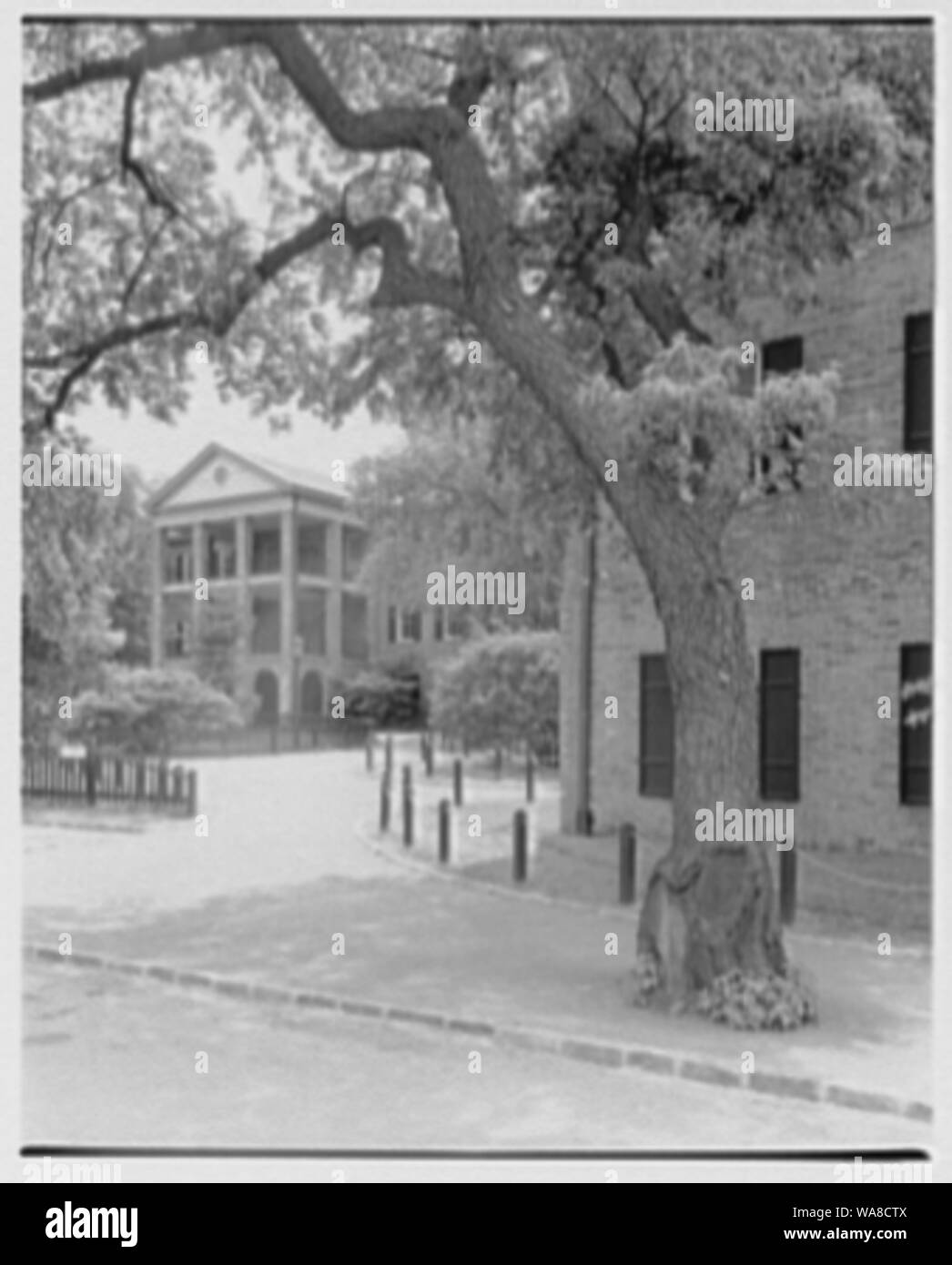 Community college degree new york hi-res stock photography and images ...