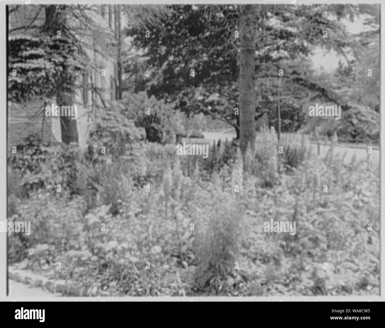 C.W. Post College, Brookville, Long Island Stock Photo - Alamy