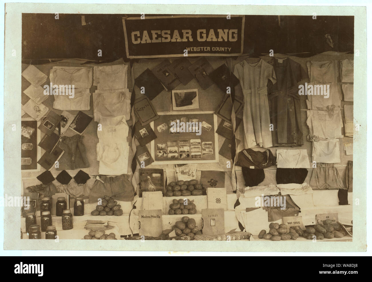 Caesar Gang Exhibit. Abstract: Photographs from the records of the ...