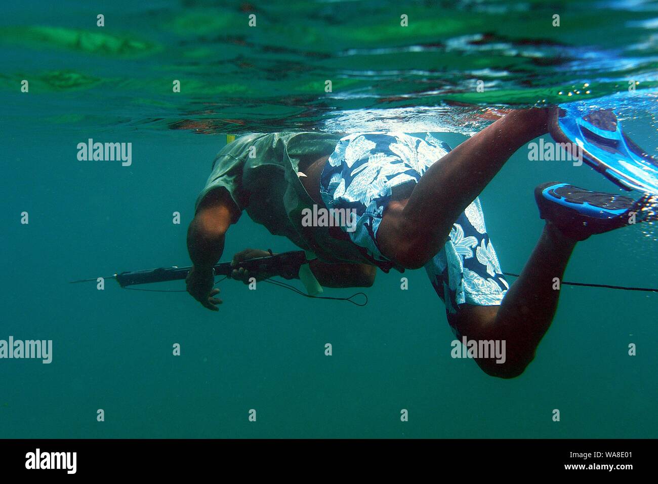 Speargun fisherman in the water, Crocus Bay, Anguilla, BWI Stock Photo ...