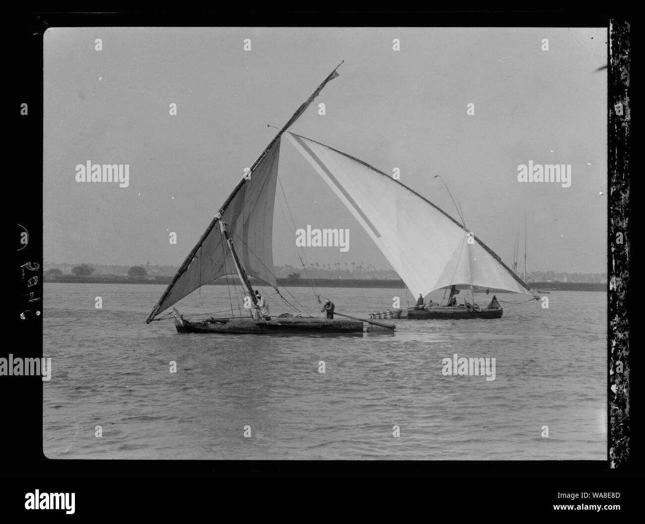 Cairo and district, Egypt. Sailed Falukas on the Nile. Typical ...